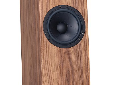 Qln audio prestige five - Qln audio Diffusori da pavimento in vendita ...
